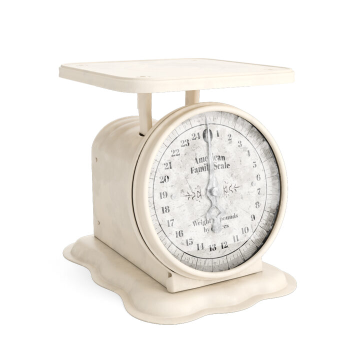 Vintage American Family Scale - 3D Model (3dlab.bg)