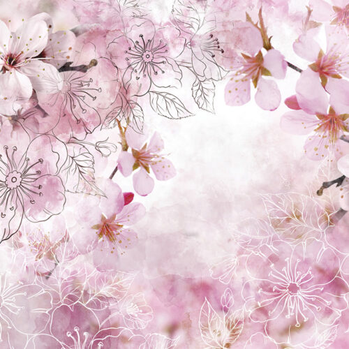 Blossoming Sakura - FREE Texture - 3dlab.bg