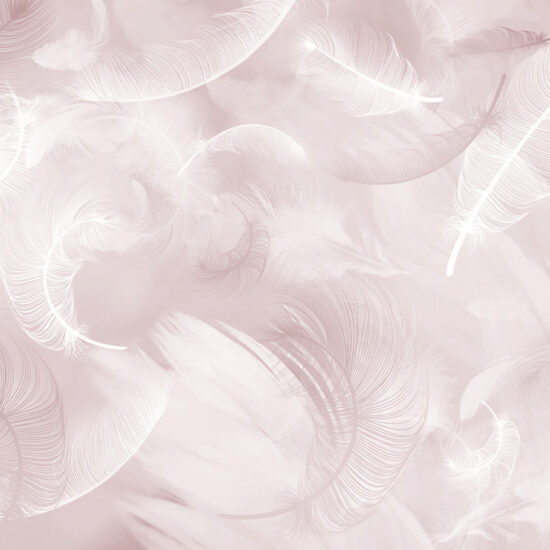Flying feathers - FREE Texture - 3dlab.bg