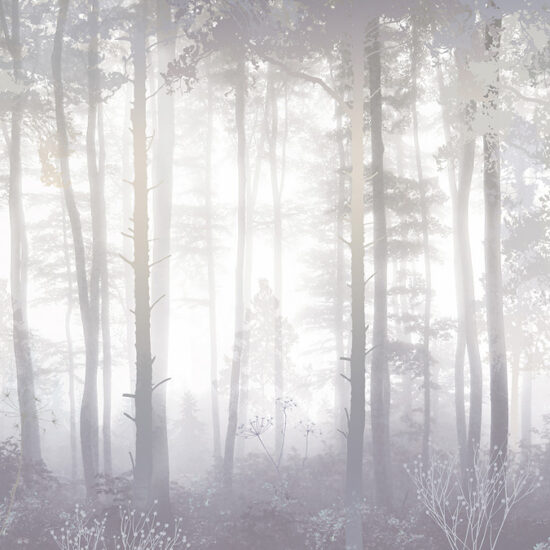 Misty Forest - FREE Texture - 3dlab.bg